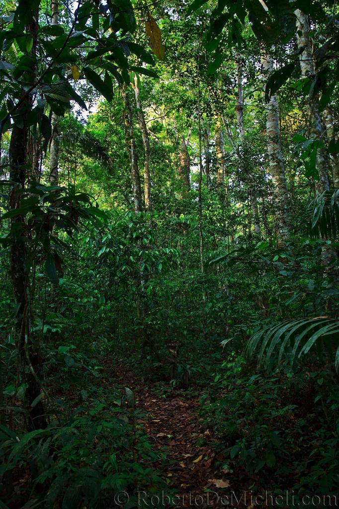 Photo Album - HTML Version of robertodemicheli.com