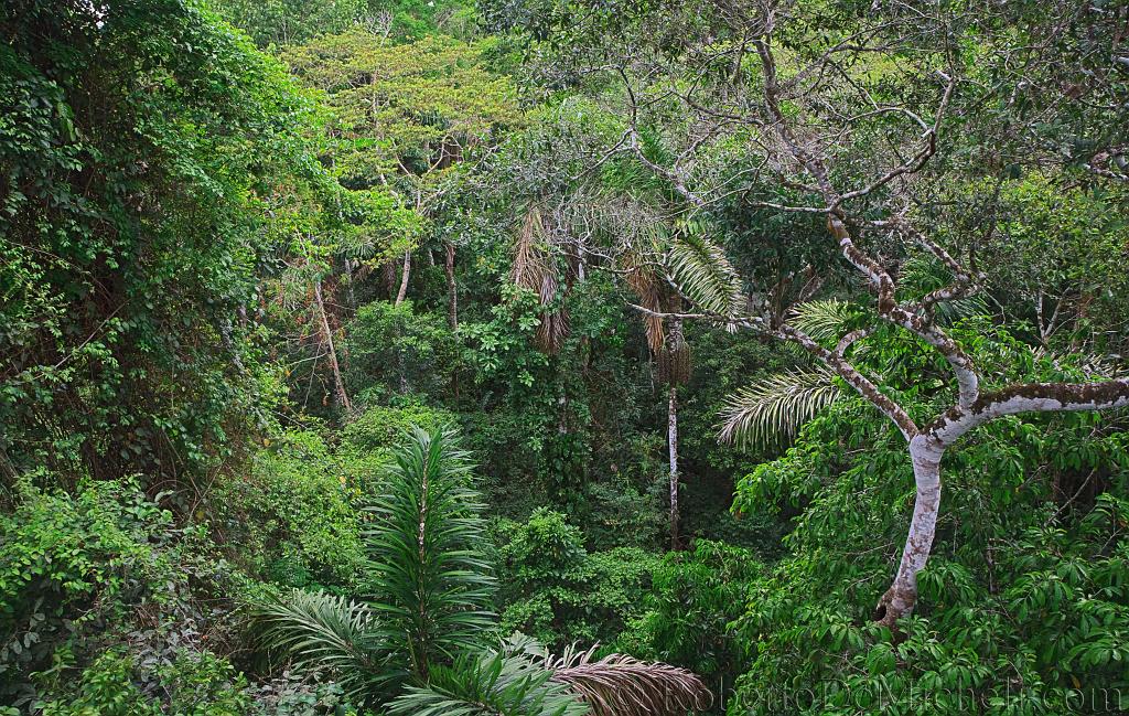 Photo Album - HTML Version of robertodemicheli.com