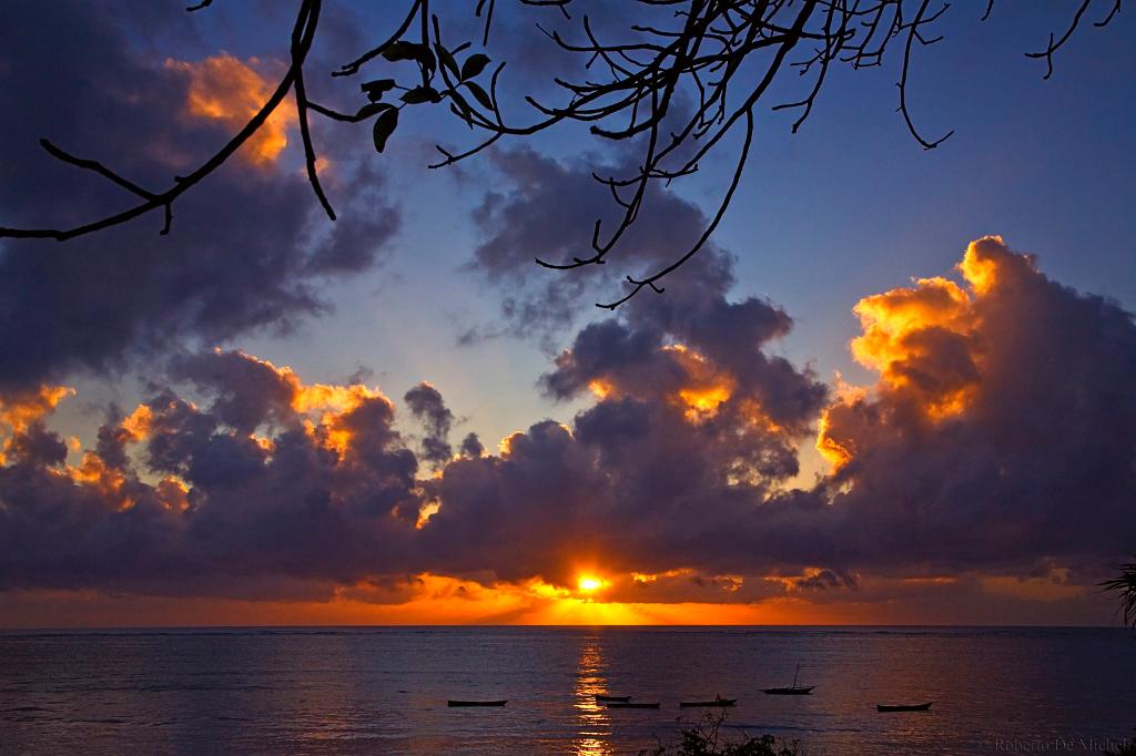 Photo Album - HTML Version of robertodemicheli.com