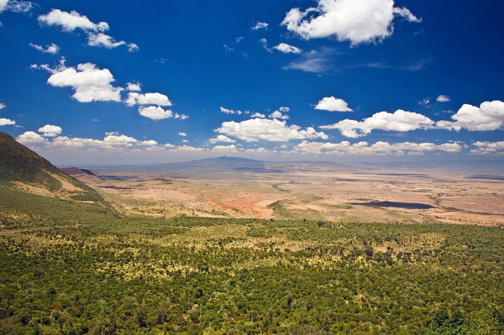 Great Rift Valley Vegetation