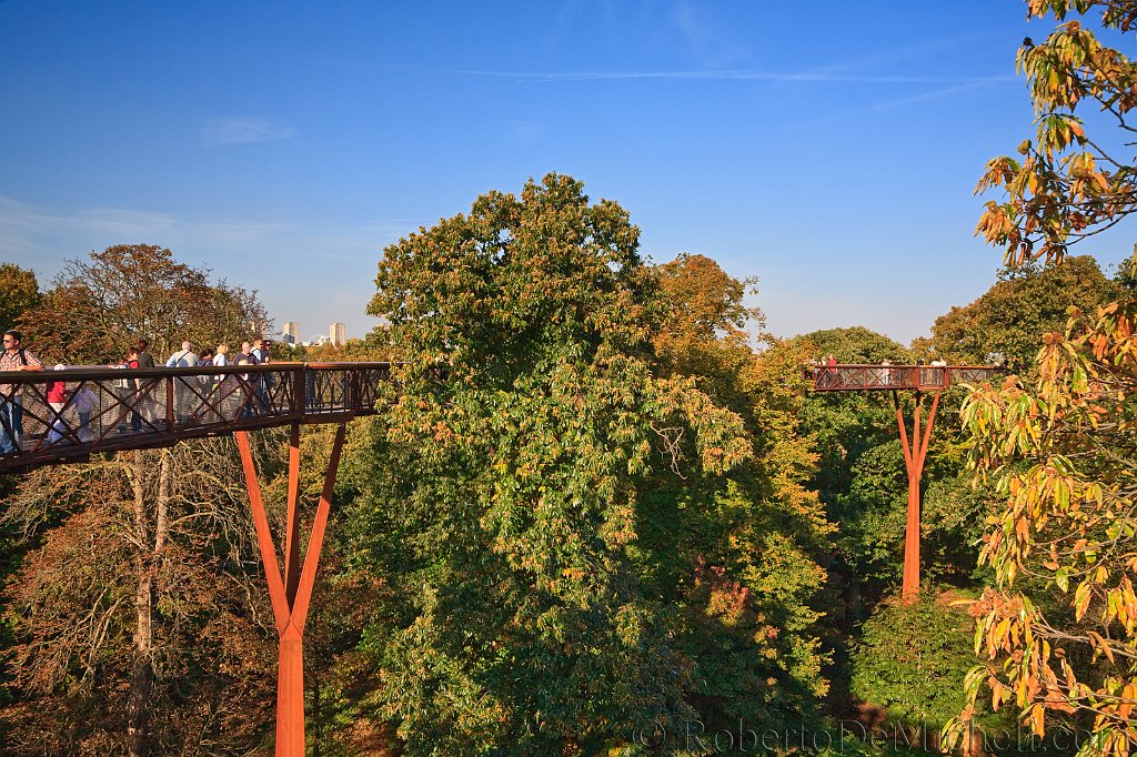 UK57 - Tree Walk, Kew Gardens, London slides/IMG_2656.jpg